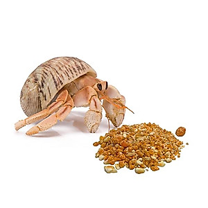 Florida Marine Research SFM00007 Hermit Crab Treat, 1.5-Ounce