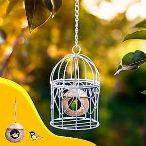 Suzile 3 Pcs Natural Coconut Bird Hide Nest Hut for Cage with Woven Straw Bird Parakeet Coconut Fiber Hanging Birdhouse Cage Habitats Decor for Parrot Cockatiel Lovebird Finch Squirrel Hamster