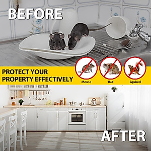 TRAP IT! Peppermint Oil Spray for Rodents, 16OZ Natural Mice Repellent Indoor to Repel Mice & Rats Pet Family Safe, Powerful Mouse Repellent for Car Engines RV Campers Trucks Boats Pest Control