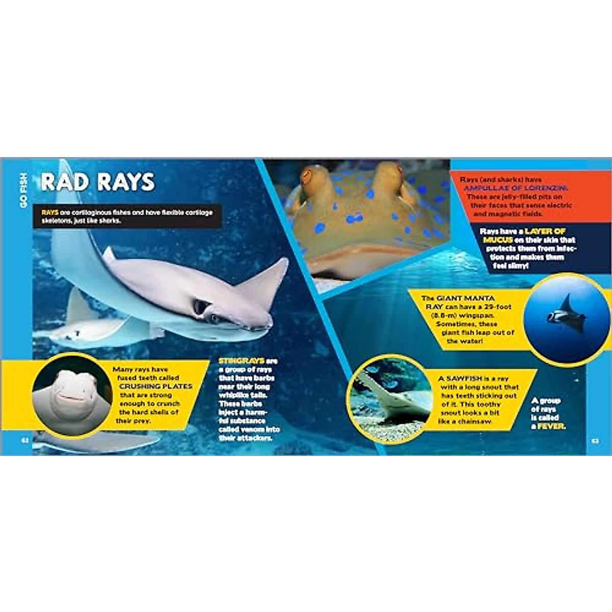 The Fascinating Ocean Book for Kids: 500 Incredible Facts! (Fascinating Facts)