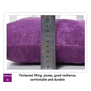 Eoieov Outdoor Indoor Seat/Back Chair Cushion, Square Patio Furniture Cushions with Zipper,Detachable Rocking Chair Seating Replacement Cushion, Hot Pink,L 32" x W 16"