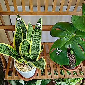 HOMDSG Monster Plant Magnets Eyes for Potted Plants, Funny Plant Safe Magnet Pins Charms, House Plant Accessories, Halloween Decorations for Plant Lovers