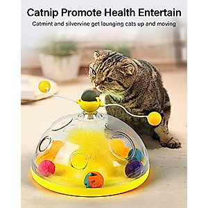 HOPET Interactive Cat Toy for Indoor Cats, Catnip Balls Roller Tracks Exercise Balls Teaser, Kitten Feeder Stimulation Toys Gifts for Pets Cats Lover Women Men