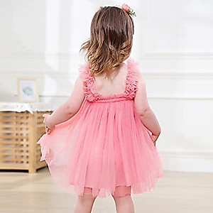 Century Star Tulle Tutu Dress Baby Toddler Girls First Birthday Outfit 1 One Year Old Gifts Easter Festival Dress Up Sundress with Flower Headband Light Pink 12 Months