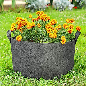 Delxo 12-Pack 15 Gallon Heavy Duty Aeration Fabric Pots Thickened Nonwoven Plant Grow Bags Grey
