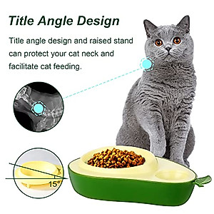 ZWMBYN Raised Cat Food Bowl and Automatic Water Dispenser Set, Avocado Gravity Cat Water Dispenser and Slow Feeder Dog Bowls, BPA-Free Self Feeding Cat Feeder for Dogs Cats Pets Animals, Green