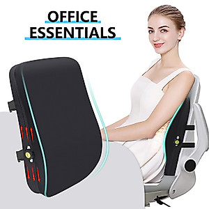 Lumbar Support Pillow for Office Chair, Adjustable Back Support Point Chair Cushion for Car Seat, Desk and Office, Thick Foam Back Support Pain Relief with Double Adjustable Straps