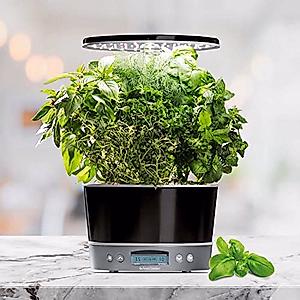 AeroGarden Harvest Elite 360 with Gourmet Herb Seed Pod Kit - Hydroponic Indoor Garden, Platinum Stainless
