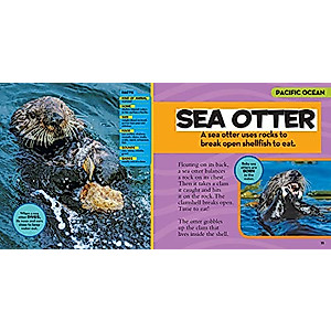 National Geographic Little Kids First Big Book of the Ocean (National Geographic Little Kids First Big Books)
