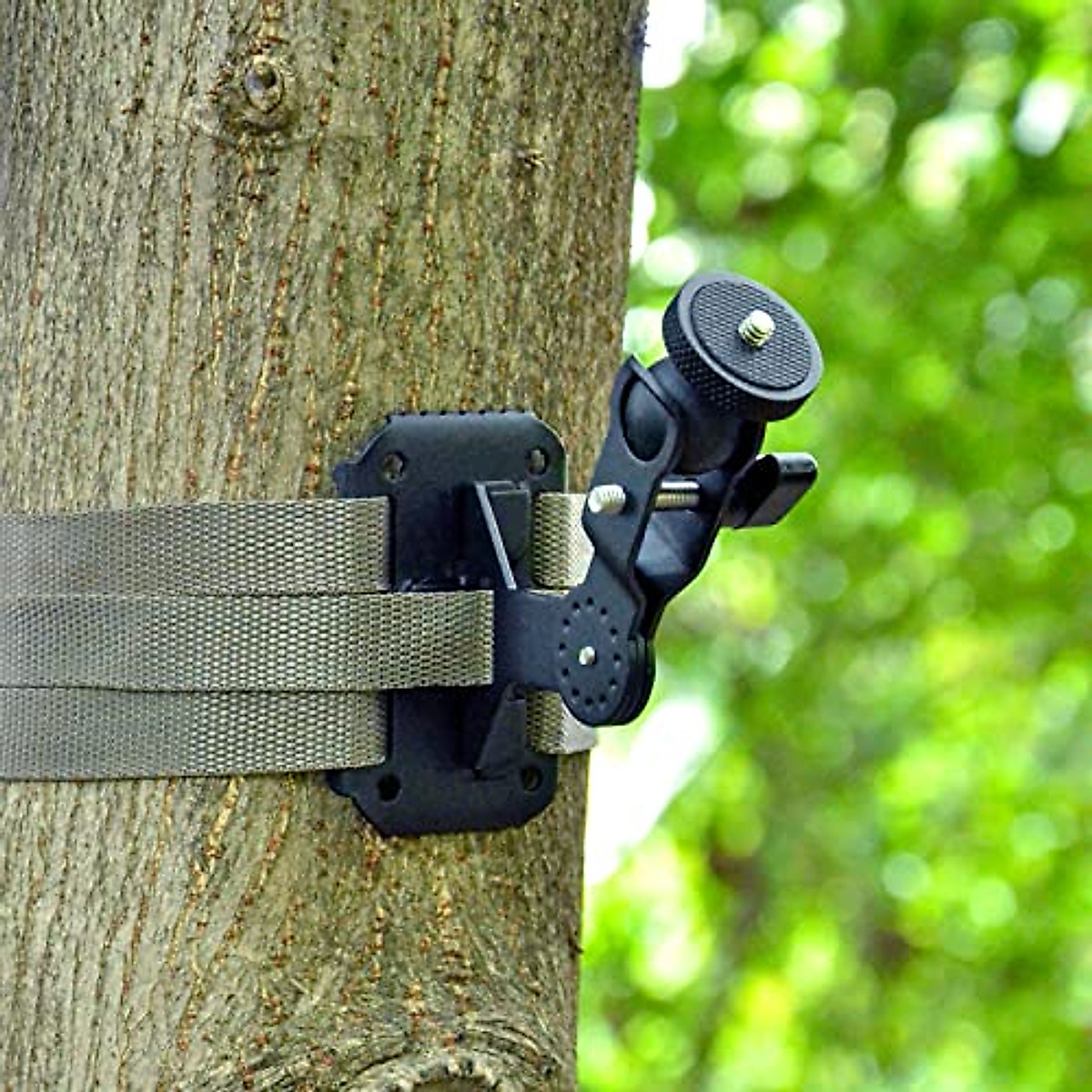 WingHome Trail Camera Mounting Bracket，Hunting Pro Gear Acccessery, Wildlife Cam Holder Deer Monitor Stand Hunter Camera Kit
