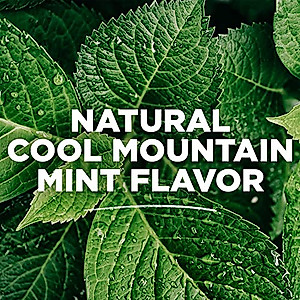 Tom's of Maine Long Lasting Wicked Fresh Mouthwash, Cool Mountain Mint - 16 oz - 2 pk by Tom's of Maine