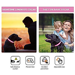 MASBRILL Light Up Dog Collar, Glow LED Dog Collar Rechargeable Lighted Dog Collar Flashing Night Walking Collar Waterproof, 4 Colors with 3 Sizes for Small Medium Large Dogs