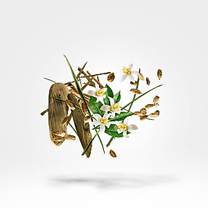 Xerjoff Nio Shooting Stars Eau De Parfum Spray, 1.7 Ounce (Unisex)