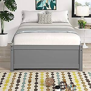 Twin Size Platform Bed with 2 Storage Drawers,Twin Bed Frame with Storage, Solid Wood Daybed with No Headboard for Kids Teen Grils Boys,Easy Assembly (Gray)