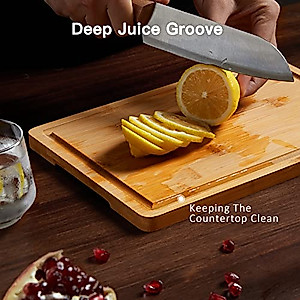 Small Cutting Board, Bamboo Chopping Board for Kitchen, Meat Butcher Block Cutting Board, Wooden Cheese Board with Juice Groove and Handle by FURNINXS, 12" x 8"