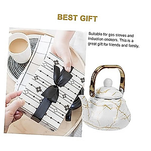 BESTOYARD 2 pcs Enamel Kettle camping kettle glass tea pot mini terrarium no whistling kettles ceramic water kettles coffee tea maker Water Boiling Pot Household Water Pot Stove Water Kettle