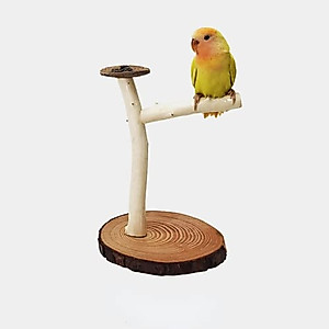 Barn Eleven Bird Training Stand, Portable Tabletop Bird Perch Spin Training Perch for Parakeets Conures Lovebirds Cockatiels (White)