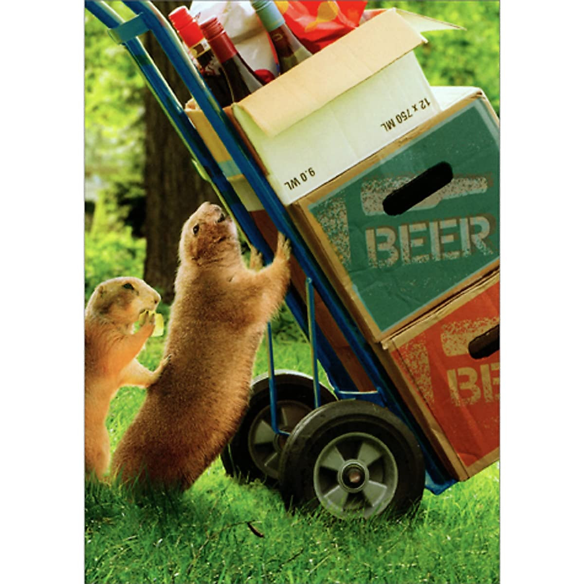 Avanti Press Groundhogs Pushing Dolly Loaded with Party Beverages Funny/Humorous Quad Fold Birthday Card