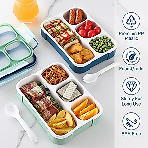 HIWARE Bento Lunch Box for Kids and Adults, Leakproof Lunch Container for Boys, Men with 4 Compartments, BPA-Free, 2 Pack