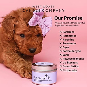 Mini Pet Friendly Mini Candle | Pet Safe Candle | All Natural Candle | Non-Toxic Candle | Pet Odor Eliminator | Pure Soy Candle | Dog & Cat Safe Candle | 2 oz (Bergamot Sunrise)