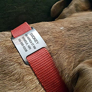 LuckyPet Slide-On Pet ID Tag: Medium-fits 5/8 inch Collars, Open Ends - Personalized Dog and Cat Tags, Silent, Chew-Proof Stainless Steel Collar Tags, Custom Engraved