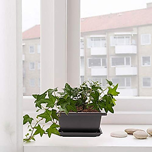 ZEONHEI 15 PCS 8.8 Inch Bonsai Training Pots, Bonsai Tree Growing Pots with 15 Drainage Trays, Plastic Bonsai Planter for Garden, Yard, Office, Porch, Balcony, Home Decoration