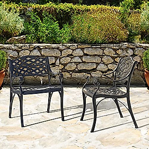 Nuu Garden Patio Dining Chairs Set of 2, Aluminum Outdoor Indoor Patio Chairs with Arms for Garden, Backyard, Porch, Black with Gold Points