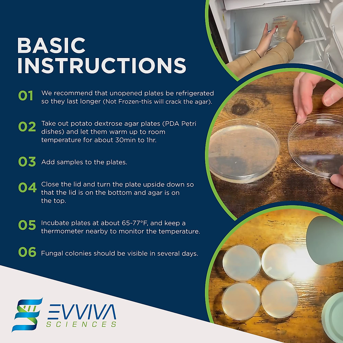 Evviva Sciences Potato Dextrose Agar Petri Dishes - Prepoured Potato Dextrose Agar (PDA) - for Mushrooms, Home Test Kit, or for Science Fair Projects, Petri Dishes with Agar