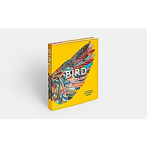 Bird: Exploring the Winged World