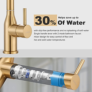 WOWOW Brushed Gold Bar Sink Faucet Single Hole Bar Faucet 1 Handle Small Kithcen Faucet for Wet Bar and RV Sink