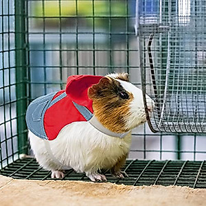 Rabbit Harness and Leash Bunny Stuff Rabbit Walking Harness Bunny Leash and Harness Small Bunny Essentials Bunny Rabbit Harness with Leash for Kitten Puppy Small Pets Walking (Red, Medium)