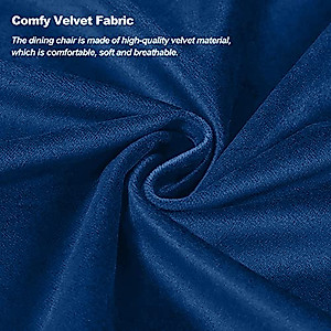 CLIPOP Velvet Kitchen Dining Chairs Set of 2, Upholstered Modern Dining Chair with Back, Sturdy Black Metal Legs, Accent Kitchen Dining Chair for Living Room, Guest, Bedroom, Black