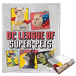 Northwest DC League of Super-Pets Silk Touch Throw Blanket, Unite, 50" x 60"