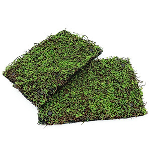 AQUA KT Terrarium Moss Background Backdrop Wall Artificial Reptile Amphibian Cage Decoration for Lizard Bearded Dragon Snake Frog Chameleon Climbing, Pack of 2