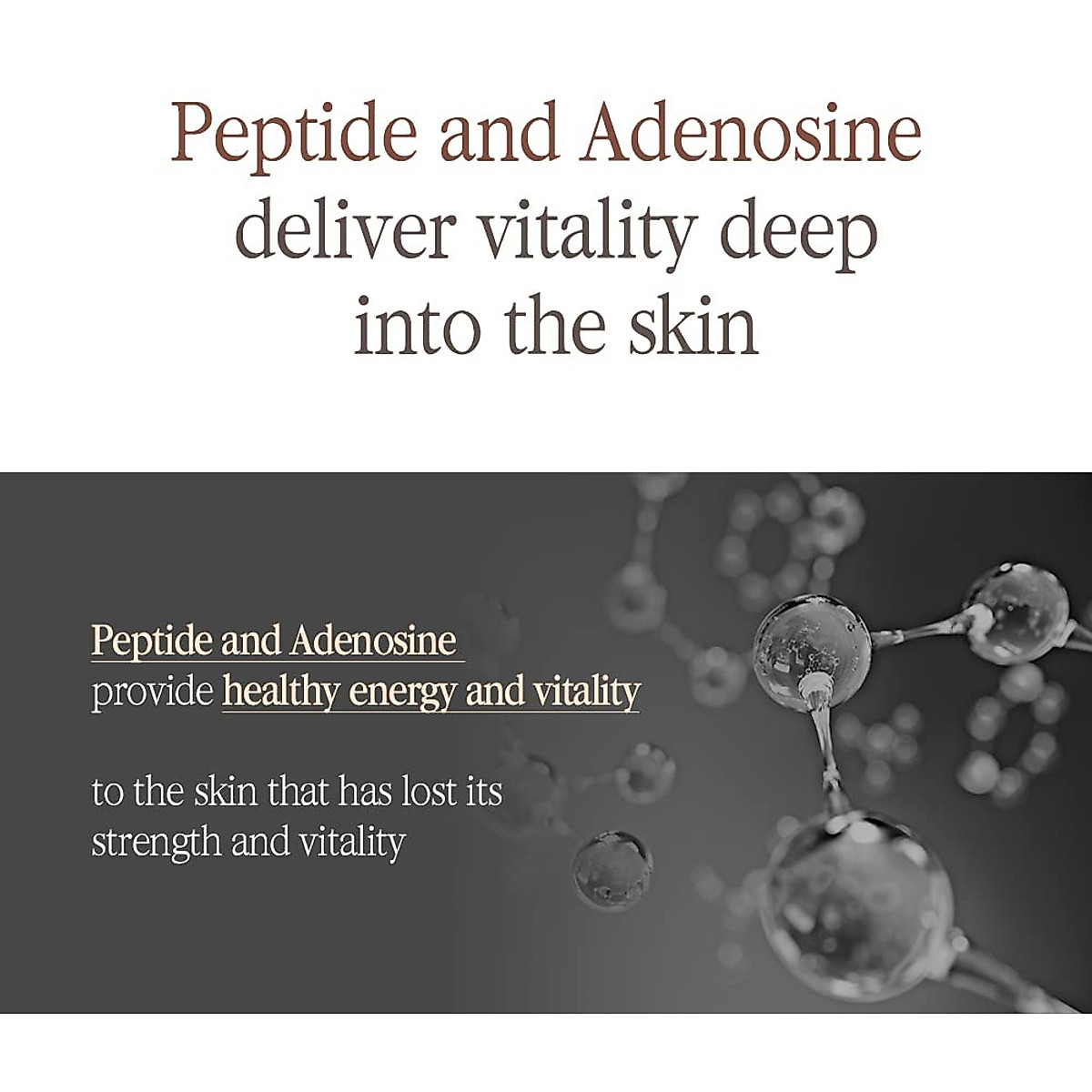 [PKY] Pyunkang Yul Black Tea Boosting Serum for Anti-aging, Condensed Nutrition for Fine Line Care with Kombucha, Ginseng Fruit Extract, Zero-Irritation, Korean Skincare (1.52 Fl. Oz, 45ml)