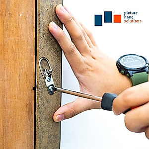 Heavy Duty D-Ring Picture Hangers - 50 Pack - 2 Hole with Screws - Picture Hang Solutions