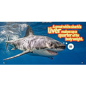 Weird But True! Animals