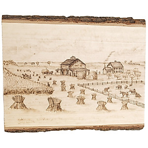 Walnut Hollow Value Pack Medium Basswood Country Planks with Live Edge Bark for Woodburning, Home Décor and Rustic Weddings, 6-pack