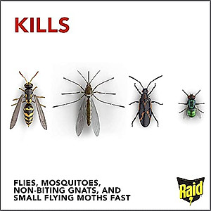 Raid Flying Insect Killer (15 OZ (Pack - 6))