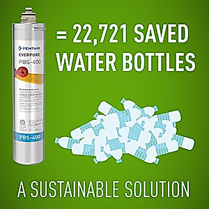 Pentair Everpure PBS-400 Drinking Water System, EV927085, Ideal for use in Prep Sink and Wet Bar, Includes Filter Head, Filter Cartridge, All Hardware and Connectors