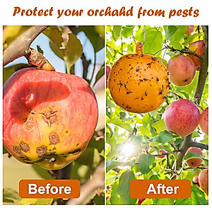 osseph Fruit Fly Traps Ball Sticky Traps Ball, 6 PCS Gnat Traps Flying Insects Traps Ball for Indoor Outdoor House Kitchen Plants Trees Flying Insects (6PCS, Yellow)