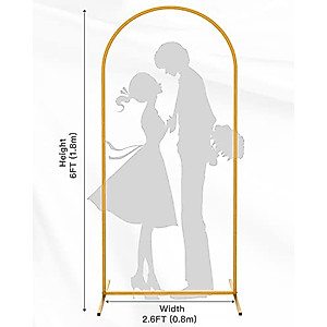 Wedding Arch Backdrop Stand,Gold Metal Door Arched Backdrop Frame Arches Backdrop Stand for Wedding Birthday Graduation Anniversary Celebration Opening Ceremony(6x2.6FT)