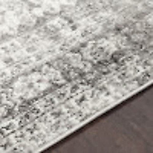 Livabliss Desta Vintage Oriental Area Rug,7'10" x 10'2",Charcoal