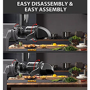 Juicer Machines, Fezen Slow Masticating Juicer Extractor, Cold Press Juicer with Two Speed Modes, Quiet Motor/Reverse Function, Higher Juice Yield Slow Juicer for Vegetables & Fruits, Easy to Clean