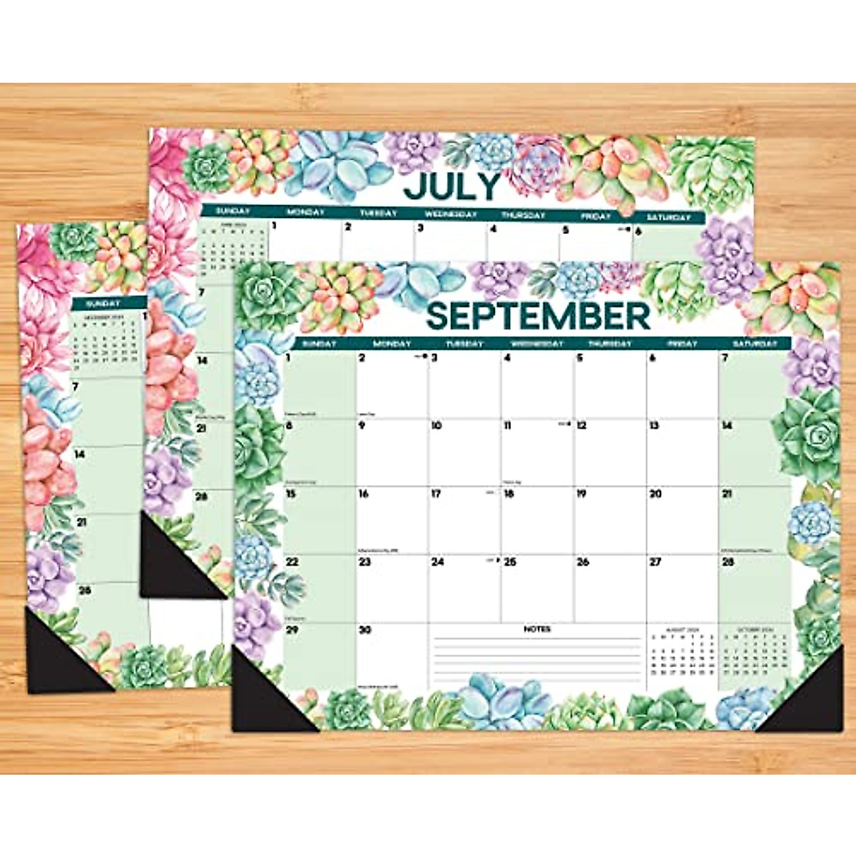Willow Creek Press Succulent Monthly 2024 Deskpad Calendar (22" x 17")
