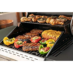 Megamaster 720-0864MA 2 Burner Propane Barbecue Gas Grill, for Camping, Outdoor Cooking, Patio, Garden Barbecue Grill, 28000 BTUs, with Foldable Side Table, Silver and Black