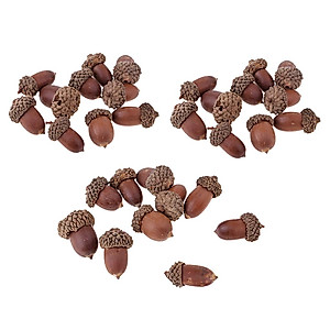 menolana 30 Pieces Acorns, Natural Dry Acorns,