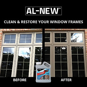 AL-NEW Step 1 Clean | Cleaning Solution for Outdoor Patio Furniture, Garage Doors, Window Frames, Exterior Lights & Fencing (16 Ounce)