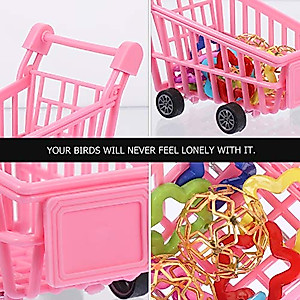 POPETPOP 10pcs Parrots Tabletop Interactive Toys Pack Bird Puzzle Training Toys Set Mini Pink Shopping Cart Toy with Hollow Balls Star Ring Pet Educational Toys for Cockatiel Cockatoo