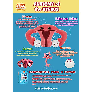 GIANTmicrobes Uterus Plush Toy, Uterus Stuffed Animal, Uterus Gifts, Uterus Plush, Hysterectomy Gifts, Endometriosis Gifts, Gynecologist Gifts,Obgyn Gifts, Feminist Gifts, Fertility Gift,Get Well Gift